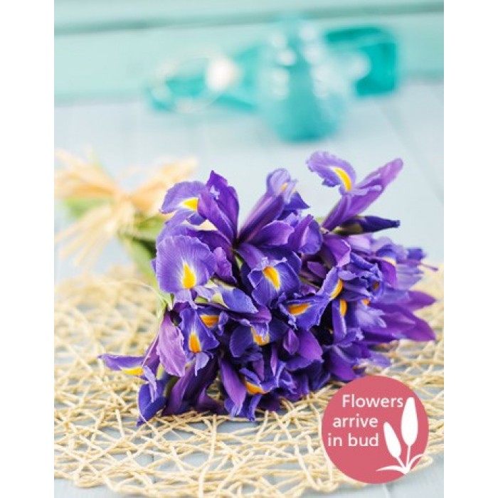 Blue Iris Bouquet | South Africa | inMotion Flowers