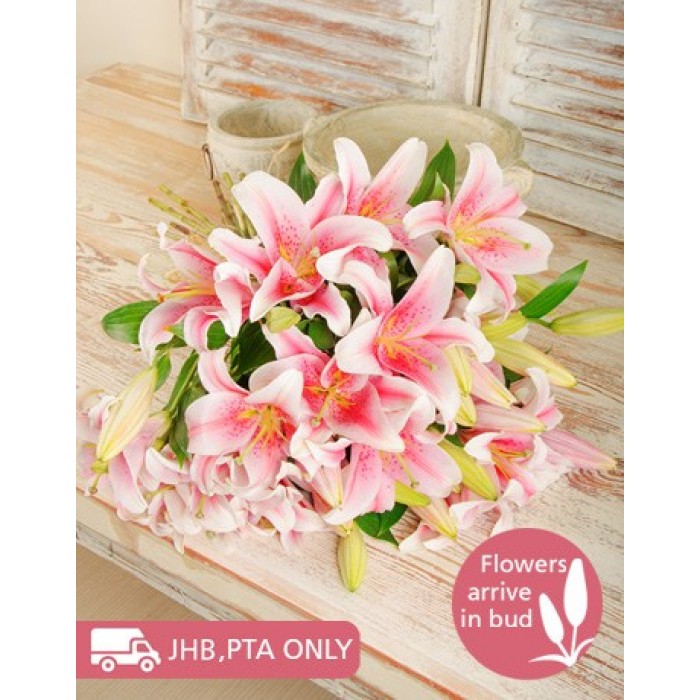 Pink Stargazer Lily Bouquet | inMotion Flowers