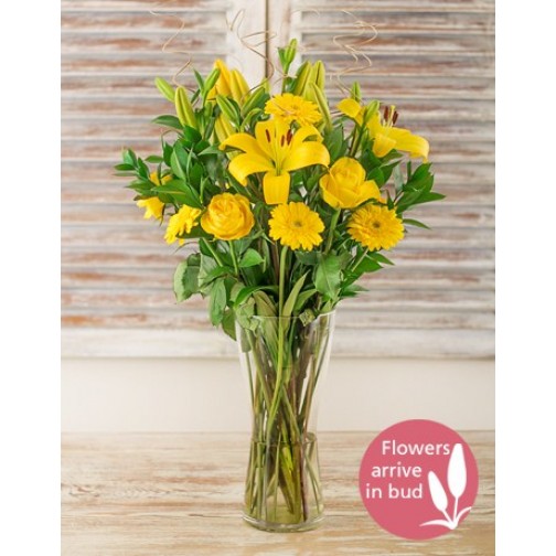 Florist Durban | Send Flowers & Gifts to Durban | inMotion Flowers